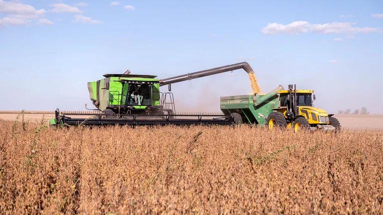 Cuáles son los sectores del agro que más y menos exportaron durante 2021